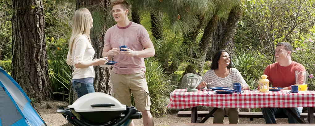 Weber Baby Q Range – Coastline Barbeques & Heating